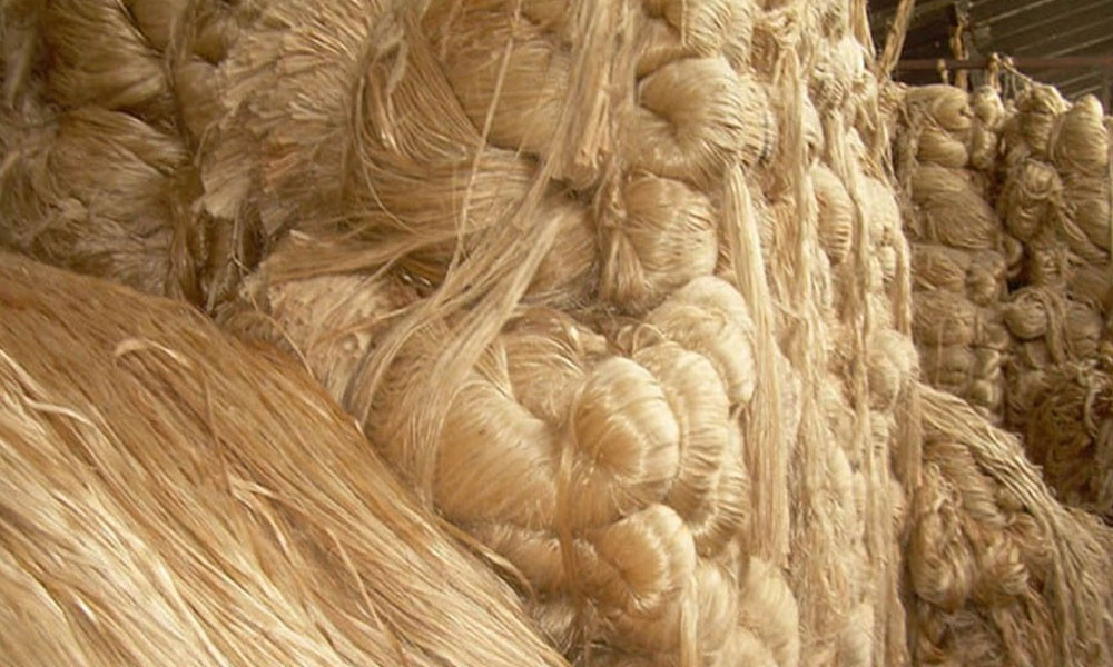 Bangladesh exports jute, jute goods to $1.2 bn