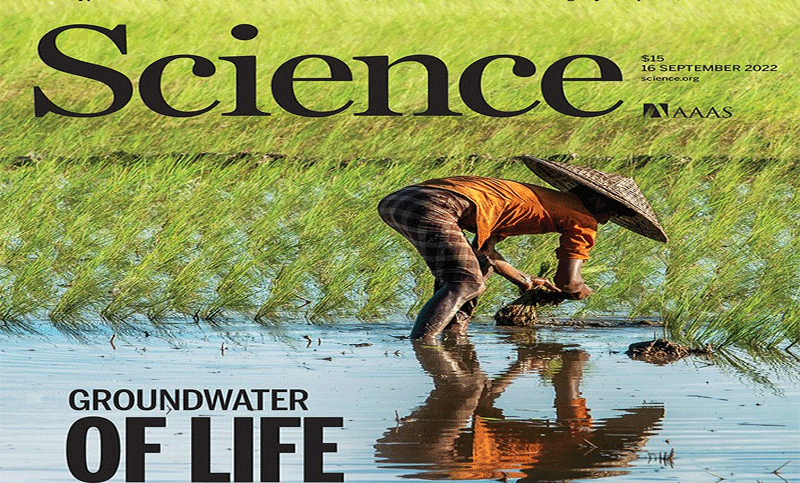 “Bengal water machine”