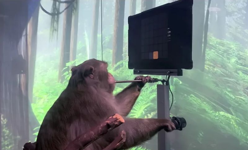 Elon Musk's Neuralink under federal probe over animal testing