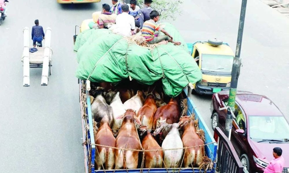 Unbearable traffic jams in haphazard trucks, violence by extortionists
